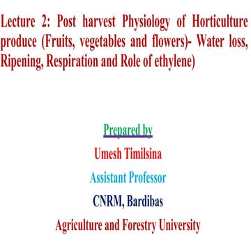 9. Curing and degreening of fruits and vegetables.pptx