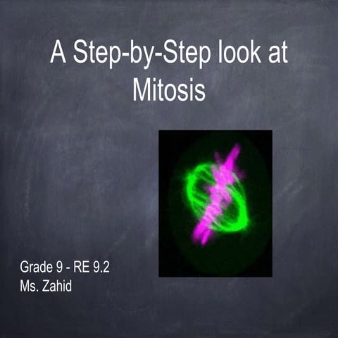 Mitosis 2 - Hira Zahid | PPTX