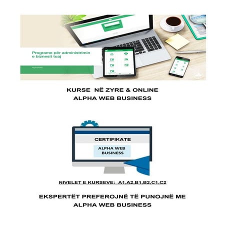 Programi Alpha Web Business | PDF