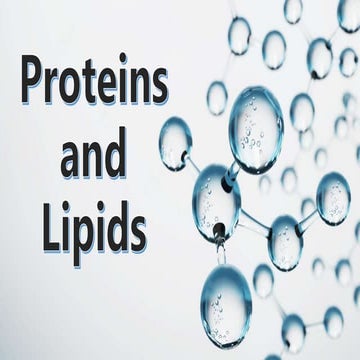 2_Proteins and Lipids.pptx