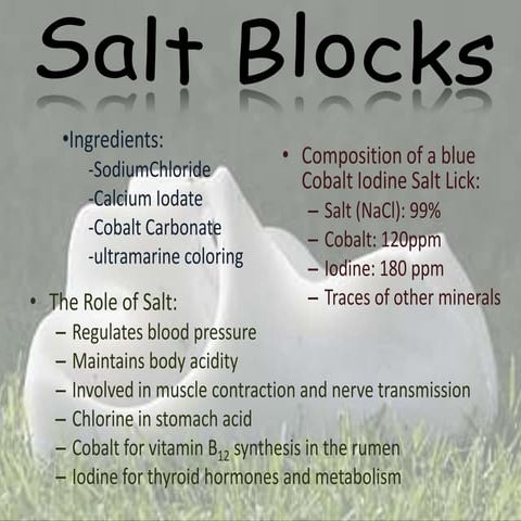 How many licks does it take to get to the centre of the salt block? | PPT