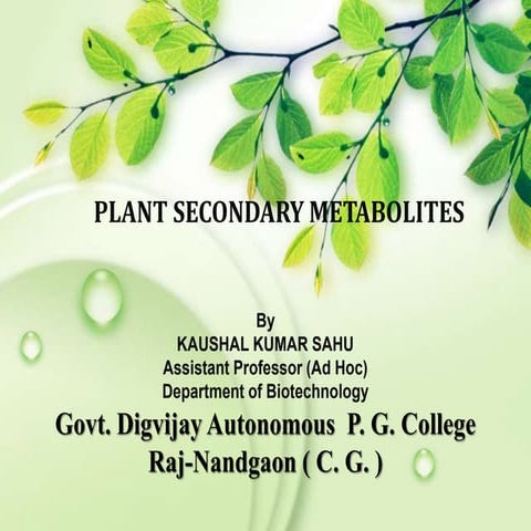 secondary metabolites of plant by K. K. SAHU Sir | PPT