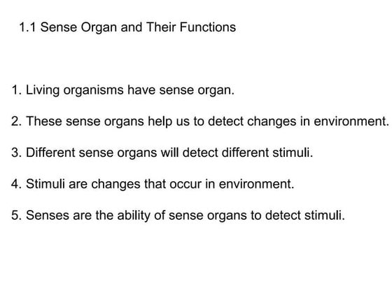 The Sense Organs: Structure and Function of the Eye and Skin | IGCSE ...