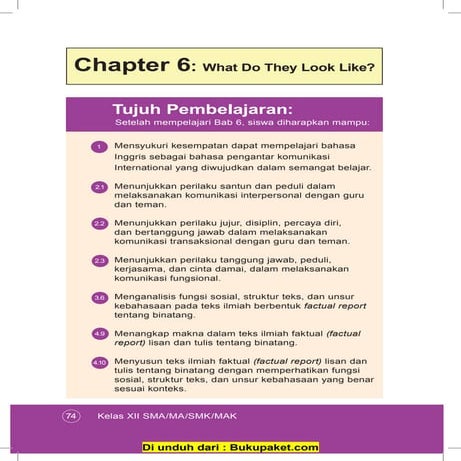 Chapter_6_What_do_They_Look_Like.pdf