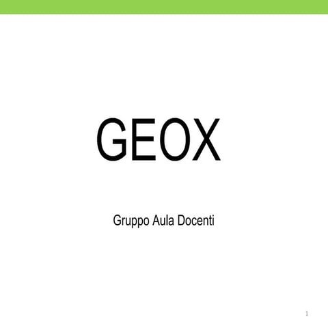analisi Geox 2° step | PPT | Business | Business and Finance