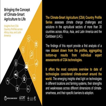 CSA Investment Advantage: Synthesis Paper Presentation | PPT