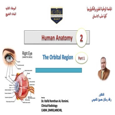 2 The orbital region part 1.pdf