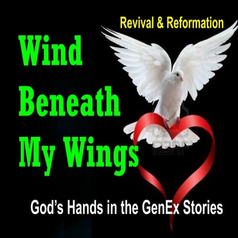 Titanic vs. Noah's Ark with the subtitle wind beneath my wings | PPTX