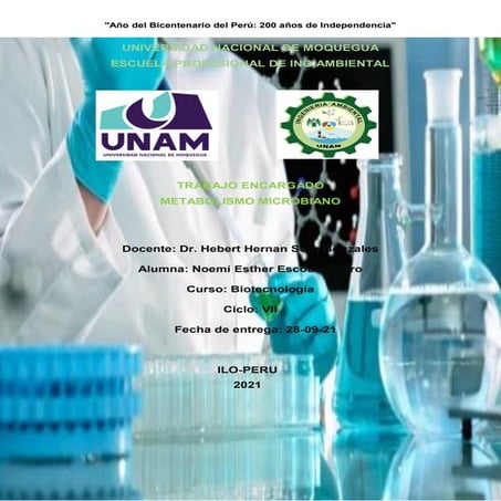 Metabolismo microbiano | PDF