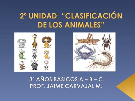 3. clasificación de los animales | PPTX