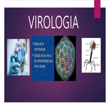 2 VIROLOGIA.pptx