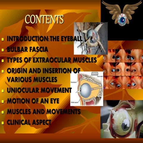 Movement of eyeball | PPTX