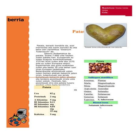 Patata tortila errezeta | PDF