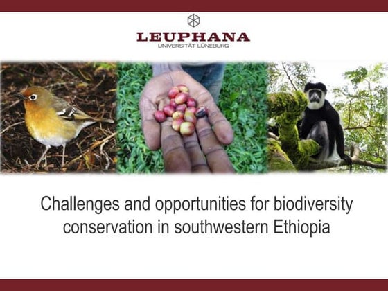 Village forest management as a way to protect biodiversity in Tanzania ...