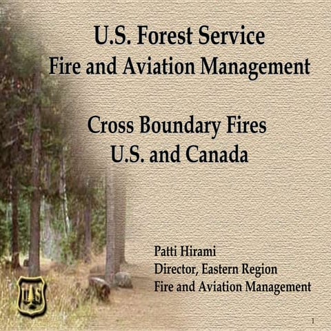 The San Jacinto All Hazards Incident Management Team (AHIMT) | PPTX