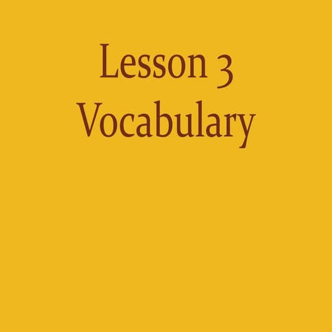 Lesson 3 Vocabulary | PPTX