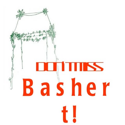 3.11 BASHERT! | PPT
