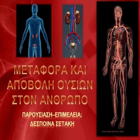 Βιολογία Γ΄ Γυμνασίου (18 διαγωνίσματα) | PDF