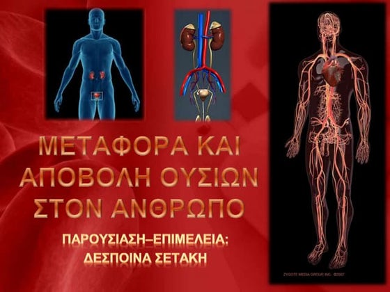 Μάθημα: Βιολογία. Α' Λυκείου. 3ο Κεφ.-Σημειώσεις σχολικού βιβλίου | PPT