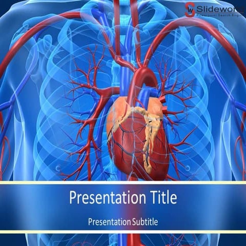 Cardivascular System PowerPoint Template | PPT