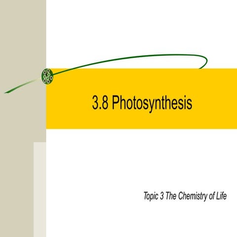 3.8 photosynthesis | PPT