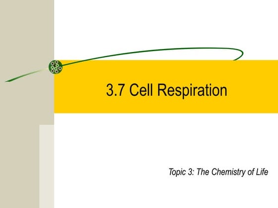 Cellular respiration introduction for 9th grade biology | PPT