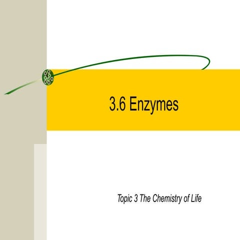 3.6 enzymes | PPT | Chemistry | Science
