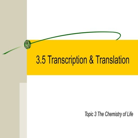 3.5 transcription & translation | PPT