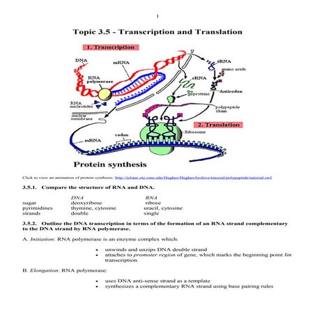 3.5 transcription & translation notes | DOC