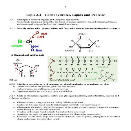 3.2 carbs, lipids & proteins notes | DOC | Chemistry | Science