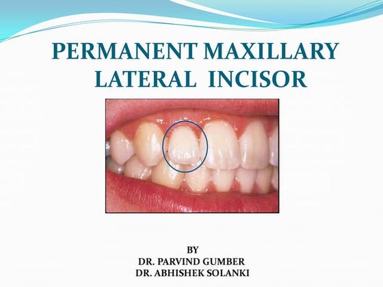 Permanent Maxillary & Mandibular Canine | PPT