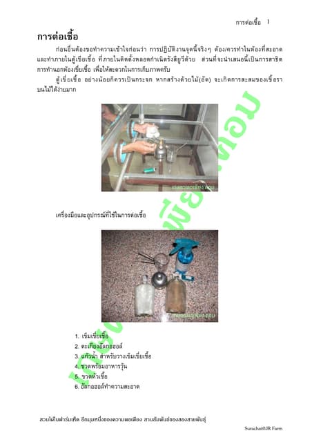 CompTIA Cloud+ ce certificate | PDF | Internet Safety | Parenting