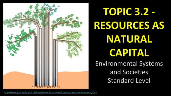 Ib ess exam notes | PDF