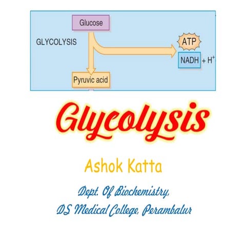 Glycolysis (with animated pathway) | PPSX