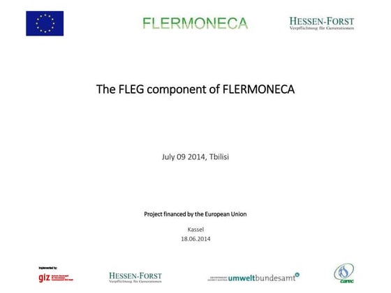 Combating illegal logging lessons from the eu flegt action plan | PDF