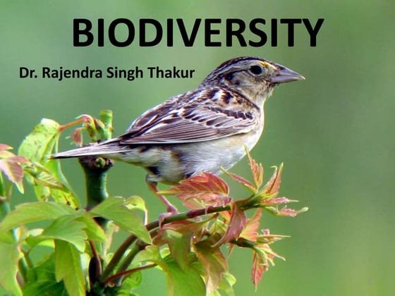 PPT OF BIODIVERSITY | PPT