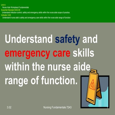 3.02 na role in safety | PPTX