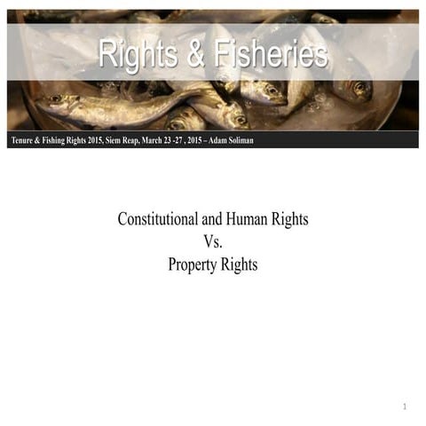 Constitutional and Human Rights Vs. Property Rights by Adam Soliman | PPT