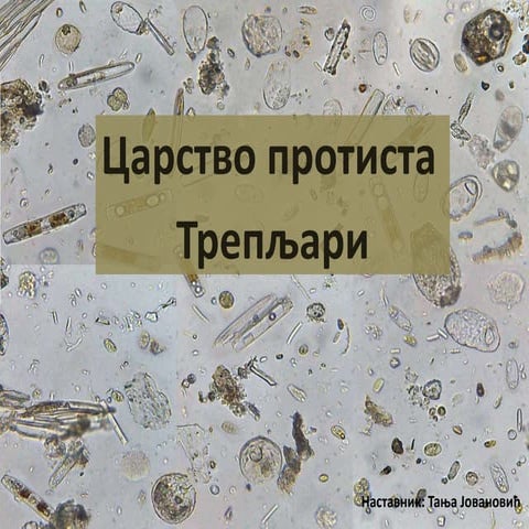 Carstvo protista- trepljari | PPTX