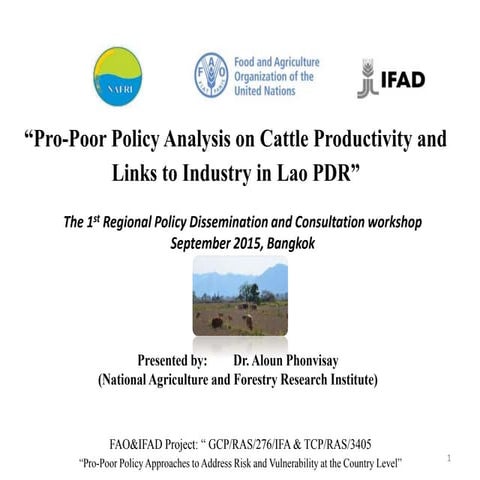 “Pro-Poor Policy Analysis on Cattle Productivity and Links to Industry ...