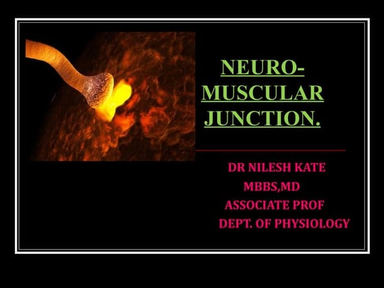 The Cardiac Cycle | PPT