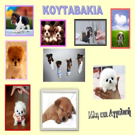 δ3 κολαζ ζωα ολα | DOCX