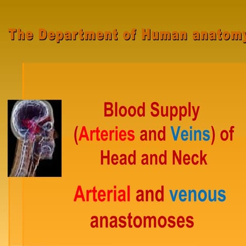 Blood supply of head & neck. Arterial & venous anastomoses | PPT