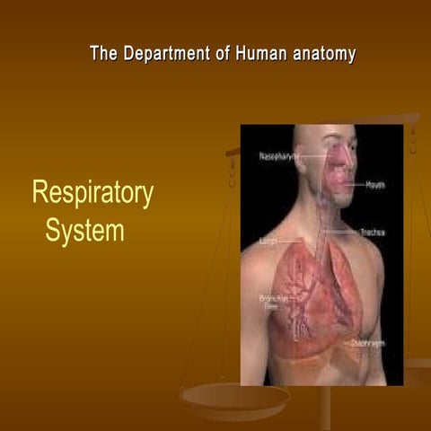 Respiratory system | PPT