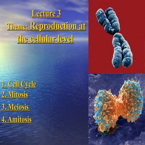 Reproduction at the Cellular level | PPT | Biological Sciences | Science