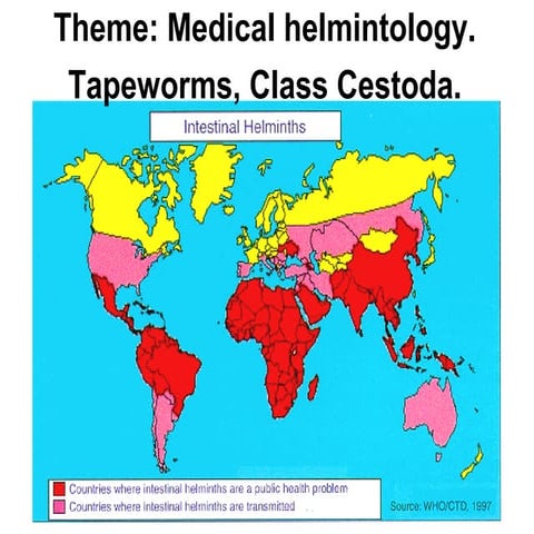 Class Cestoda. Tapeworms | PPT