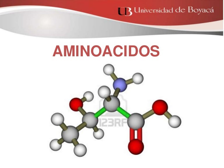 aminoacidos