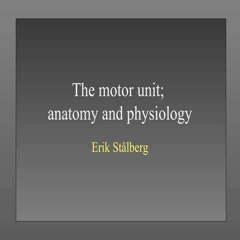 3. The MU Basics | PPT