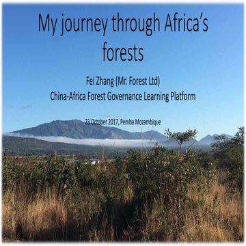 My journey through Africa’s forests: Mr Fei Zheng, Mr Forest company | PPT