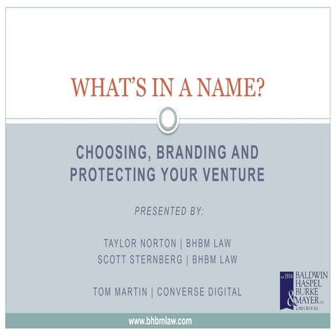 What is the difference between Word, Logo and Logo Composite Mark | PPTX